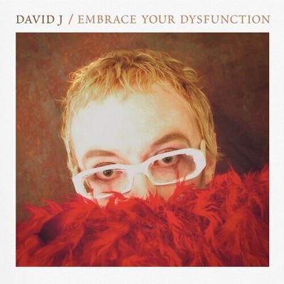 David J - Embrace Your Dysfunction - Red/white Haze (vinyl) : Target