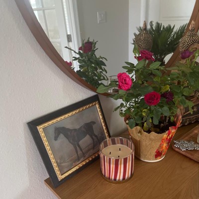 8" X 10" Stallion On Canvas Board With Ant Frame Gold/light Brown ...