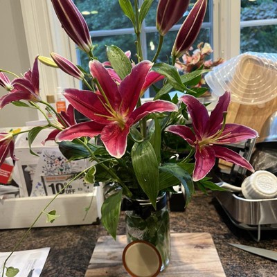 Ball 32oz 12pk Glass Wide Mouth Mason Jar With Lid And Band : Target