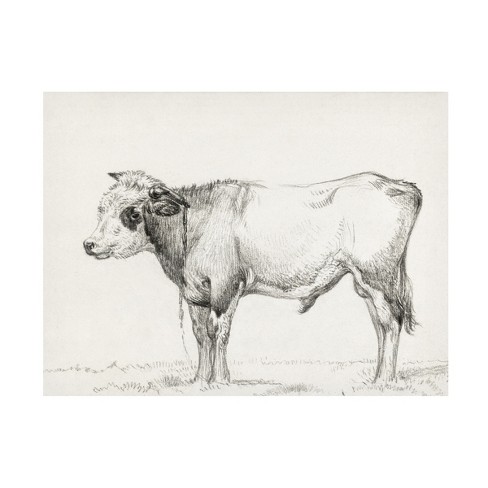 Trademark Fine Art - Jean Bernard Bernard's Bull Renderings Iii Canvas ...