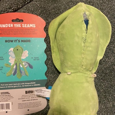 Bark Billy The Squid Dog Toy - Green : Target
