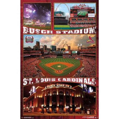 Trends International MLB St. Louis Cardinals - Busch Stadium 16 ...