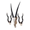 Design Toscano African Wall Trophies: Set Of One Gemsbok And Two Kudu ...