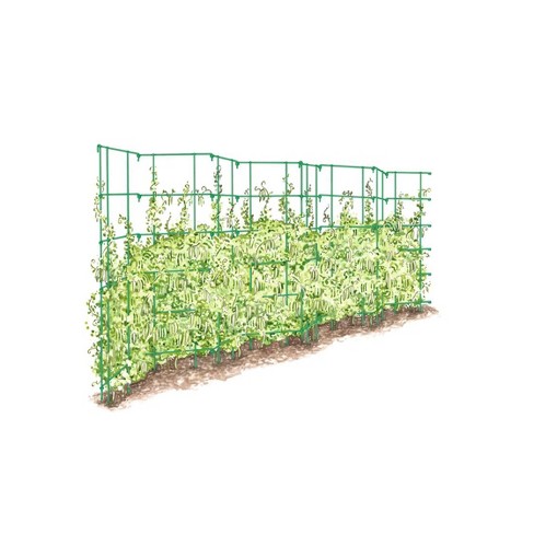 Gardeners Supply Company Sturdy Expandable Tall Pea Trellis For ...