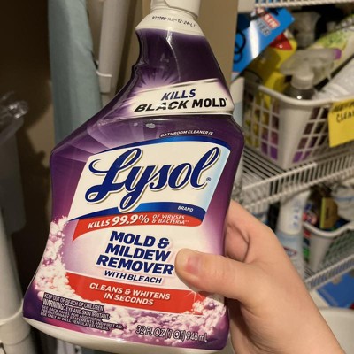 Lysol Mold & Mildew Remover Trigger - 32 Fl Oz : Target