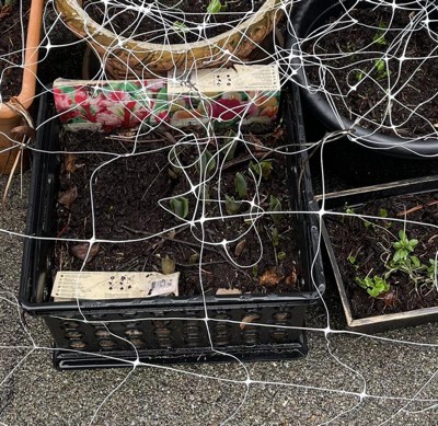 Storage Crate Black - Room Essentials™ : Target