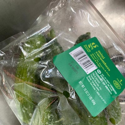 Mini Cucumbers - 16oz Bag - Good & Gather™ (packaging May Vary) : Target