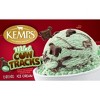 Kemps Mint Cow Tracks Premium Ice Cream - 48oz : Target