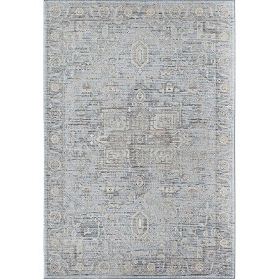Rugs America Preston Transitional Vintage Area Rug : Target