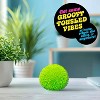 Schylling NeeDoh Shaggy Fidget Toys, Set of 3 Sensory Toys, Assorted ...