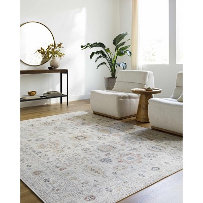 Hauteloom Vijay Area Rug : Target