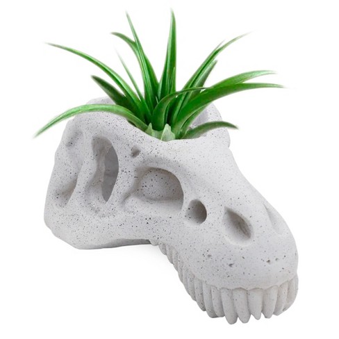 Esterno Dinosaur Skull Planter Pot; T-rex Decorative Indoor Gardening ...