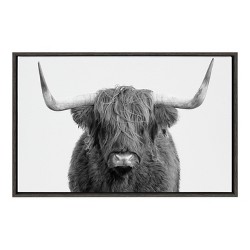 47" X 24" Highland Cow Framed Canvas - Threshold™ : Target