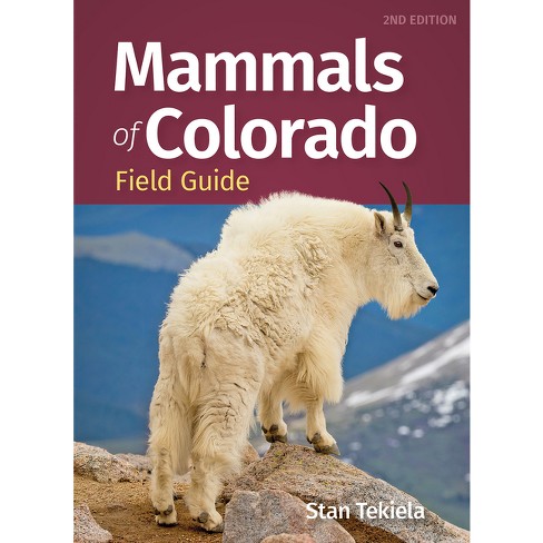 Mammals Of Colorado Field Guide - (mammal Identification Guides) 2nd ...