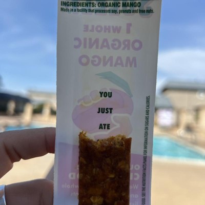 Solely Organic Mango Fruit Jerky - 0.8oz : Target