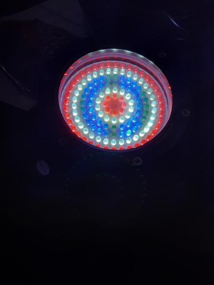 144ct Super Bright Color Changing Led Submersible Lights - Alpine ...