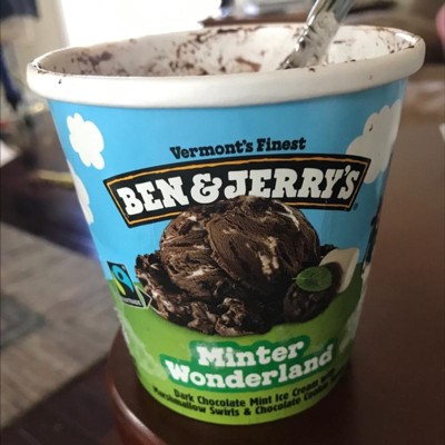 Ben & Jerry's Minter Wonderland Dark Chocolate Mint Ice Cream - 16oz ...