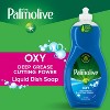 Palmolive Oxy Degreaser Ultra Liquid Dish Soap - 42 Fl Oz : Target