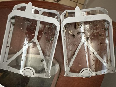 Zevo Flying Insect Trap Refill Kit - 4ct : Target