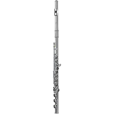 Di Zhao Dz801 Professional Flute, Open Hole, Pointed Arms, Silver ...