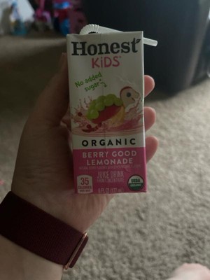 Honest Kids Organic Berry Lemonade Juice Drink - 8pk/6 Fl Oz Boxes : Target