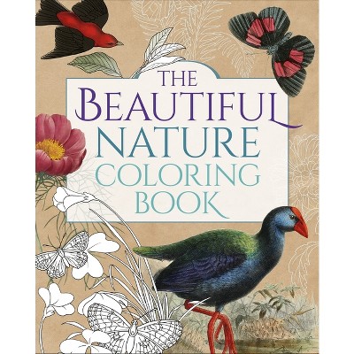 Chill & Unwind Coloring Book - By Andrea Sargent (paperback) : Target