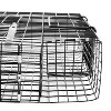Rugged Ranch Chpto Chipmunkinator Live Chipmunk Squirrel Rat Mouse ...