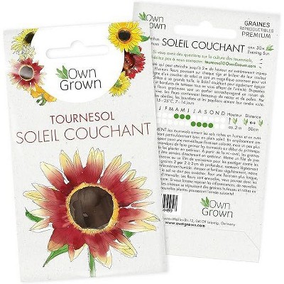 Owngrown Sunflower Seeds Variety Soleil Couchant, Yellow : Target