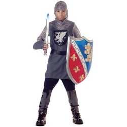 California Costumes Gallant Knight Toddler Costume, Large : Target