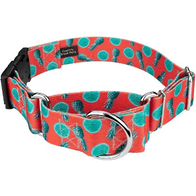 Country Brook Petz 1 1/2 Inch Tropical Tango Martingale With Deluxe ...
