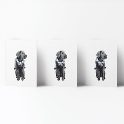 Everyday Greeting Card Pack (3ct) "preppy Black Lab" By Ramus & Co : Target