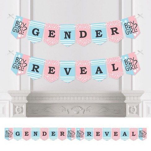 Big Dot Of Happiness Baby Gender Reveal - Team Boy Or Girl Party ...