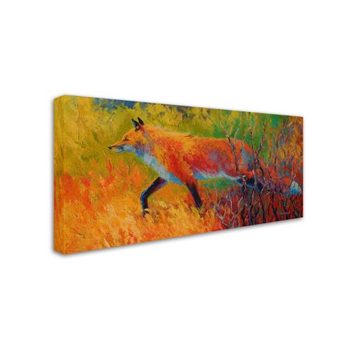 Marion Rose 'red Fox 1' Canvas Art : Target