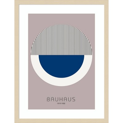 Amanti Art 19"x25" Magenta Poppy Flowers By Ania Zwara Wood Framed Wall ...