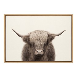 47" X 24" Highland Cow Framed Canvas - Threshold™ : Target