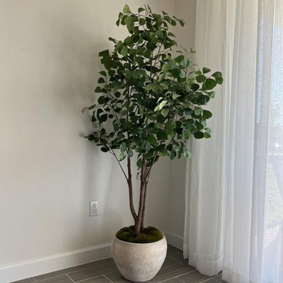 72" Artificial Ficus Tree - Threshold™ Designed With Studio Mcgee : Target