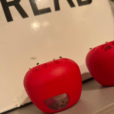 Terro 2pk Fruit Fly Trap : Target