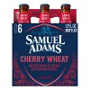 Samuel Adams Cherry Wheat Beer - 6pk/12 Fl Oz Bottles : Target