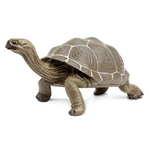 Safari Ltd. - Tortoise Kids Toy Figure : Target