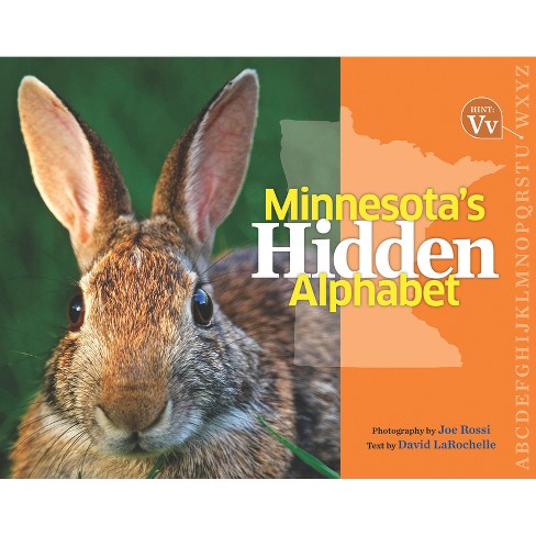 Minnesota's Hidden Alphabet - (hardcover) : Target