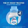Lysol Free & Clear Laundry Sanitizer - 21 Fl Oz : Target