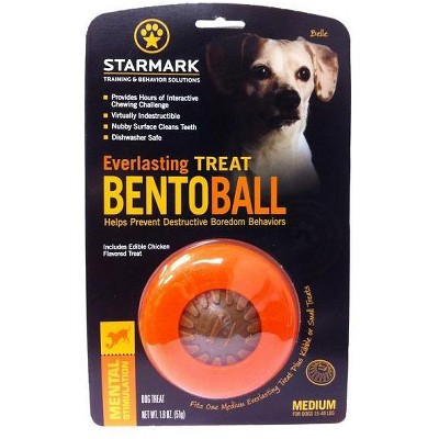 Starmark Everlasting Treat Bento Ball Tough Dog Chew Toy - Medium : Target