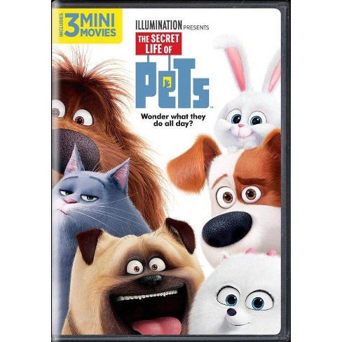 The Secret Life Of Pets (dvd) : Target