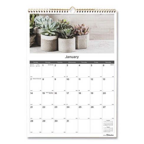 12-month Wall Calendar, Succulent Plants Photography, 12 X 17, White ...