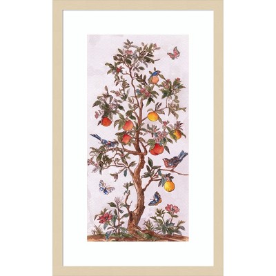 Amanti Art Citrus Aviary I by Melissa Wang Wood Framed Wall Art Print ...
