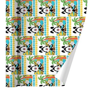 Animaniacs Goodnight Everybody Gift Wrap Wrapping Paper Rolls 30" x 72 ...