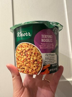 Knorr Teriyaki Noodles Pasta Cup 2.6oz : Target