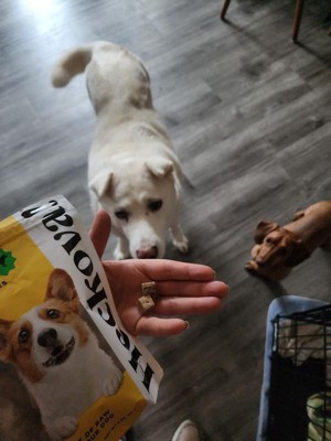 Heckova! Freeze-dried Raw Beef Lover Beef Liver Flavor Bites Dog Treats ...