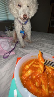 Frozen Stuffed Mini Rigatoni In A Marinara Sauce -with Hidden ...