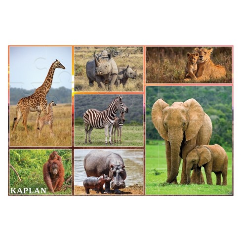Kaplan Early Learning Wild Animals Mother And Baby Photo Real Floor ...